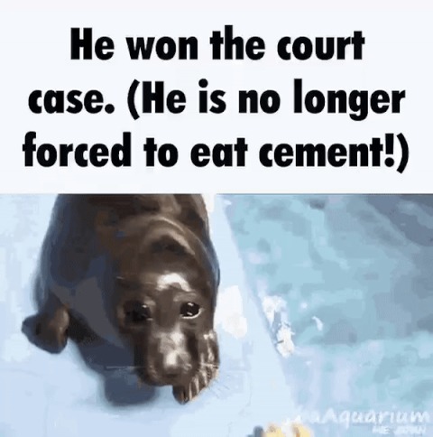 Won the court case - Meme by ThatHabitablePlanet :) Memedroid