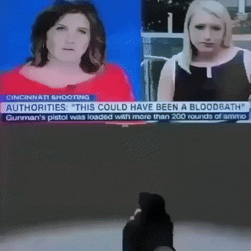 Gun go brrr... - Meme by Dildonator :) Memedroid