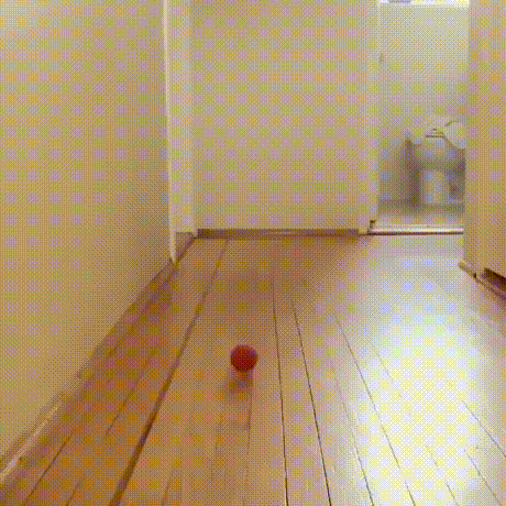 Gaaaa! Bounce! bounce! - Meme by Mc_atv :) Memedroid