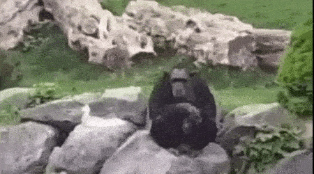 Mono - Meme by JC_33 :) Memedroid