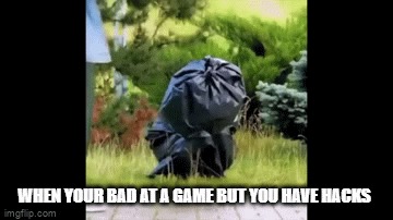 plus cool skins you bought - Meme subido por Xmdevlf0 :) Memedroid