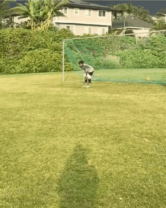 Ball is life - Meme by Bowenarrows96 :) Memedroid