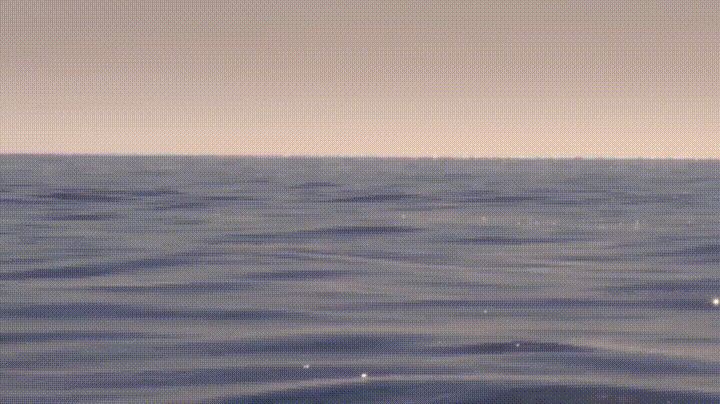 Majestic flap-flaps - Meme by Lone_wolf69 :) Memedroid