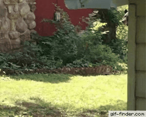 Cuando sales de la ducha y se te olvida traer una toalla... - Meme by ...