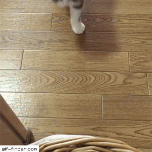 Nothing like a good stretch - Meme by SuperIlluminati :) Memedroid