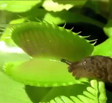 Not today old friend - Meme subido por Saracens19 :) Memedroid