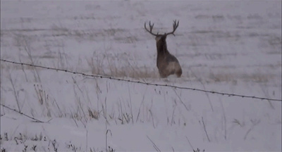 Hes a phoney - Meme by Moklman :) Memedroid