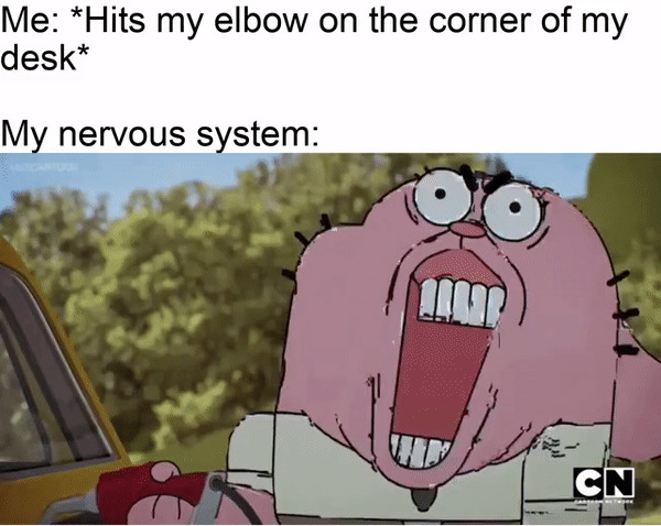 ERROR - Meme subido por yeetmon :) Memedroid