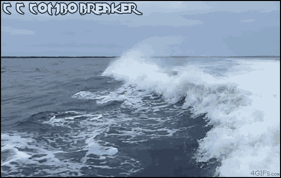 Golfinho fail - Meme by ElizeuBIRL :) Memedroid