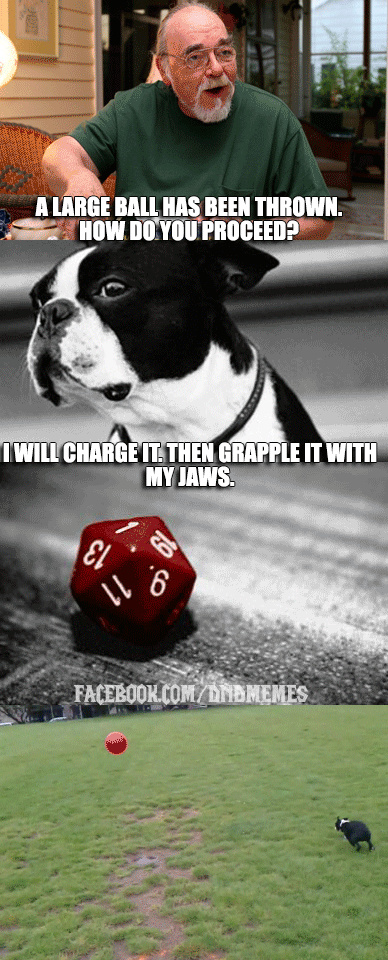 Roll for initiative - Meme by Moklman :) Memedroid