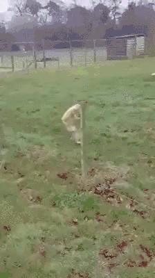 Aquel momento en que te olvidas de la toalla y sales con disimulo XD ...