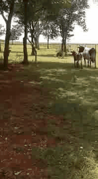 Taporra! - Meme by jhonataskhan :) Memedroid